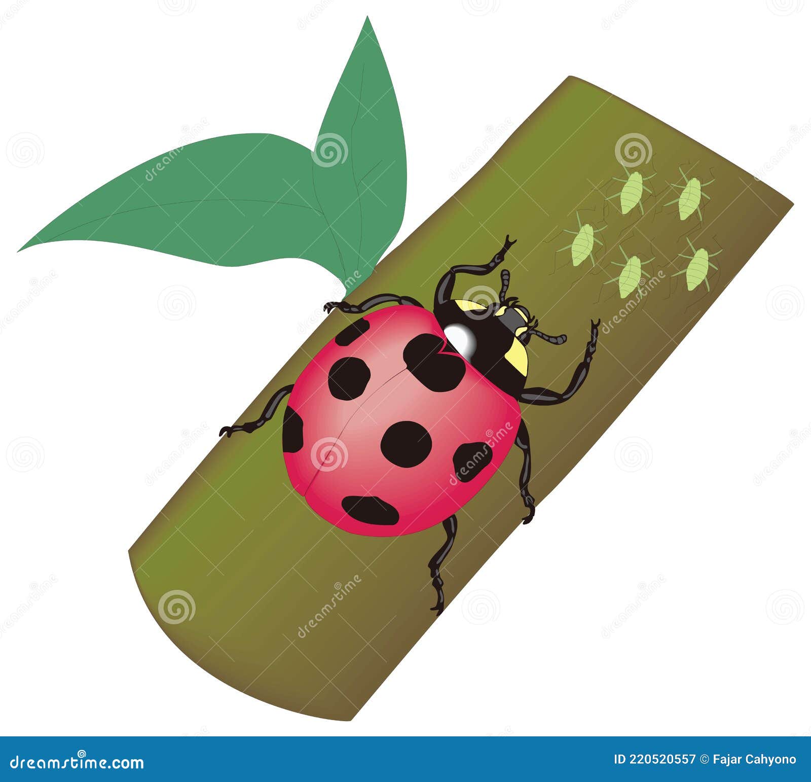 Ladybug Insect Vector Illustration Transparent Background Stock Vector ...