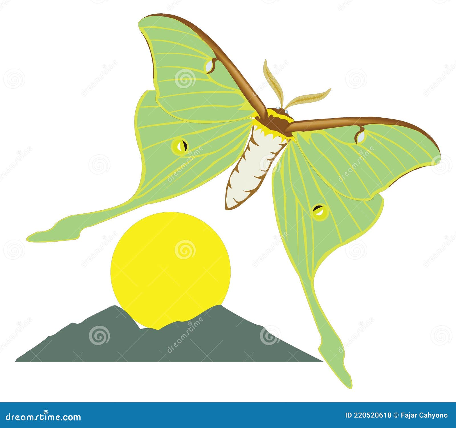 Luna Moth Stock Photo | CartoonDealer.com #2217840