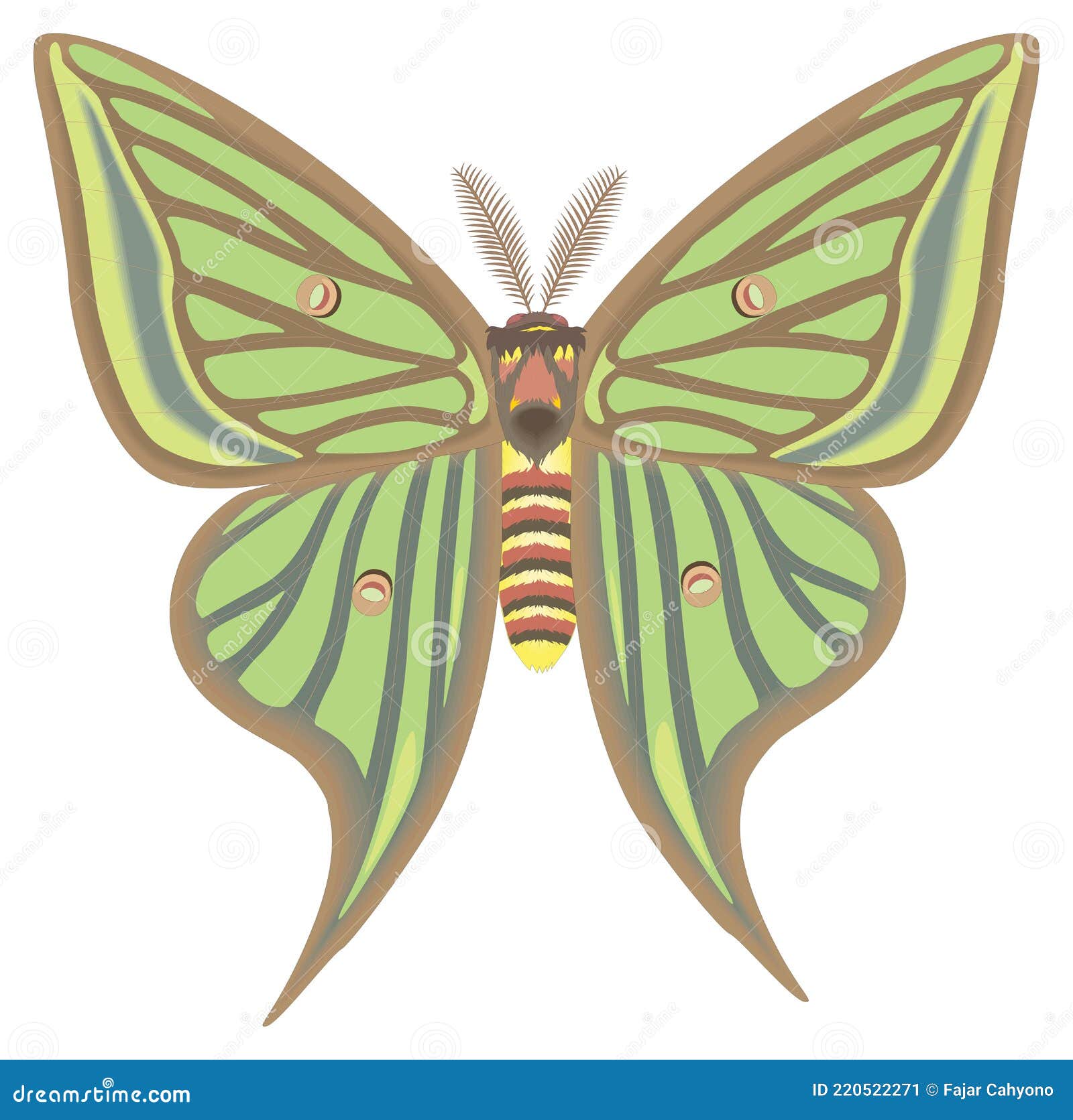 Moon Moth Butterfly Insect Vector Illustration Transparent Background ...