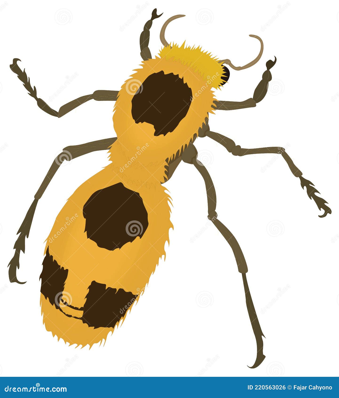 Yellow Fur Insect Vector Illustration Transparent Background Stock ...