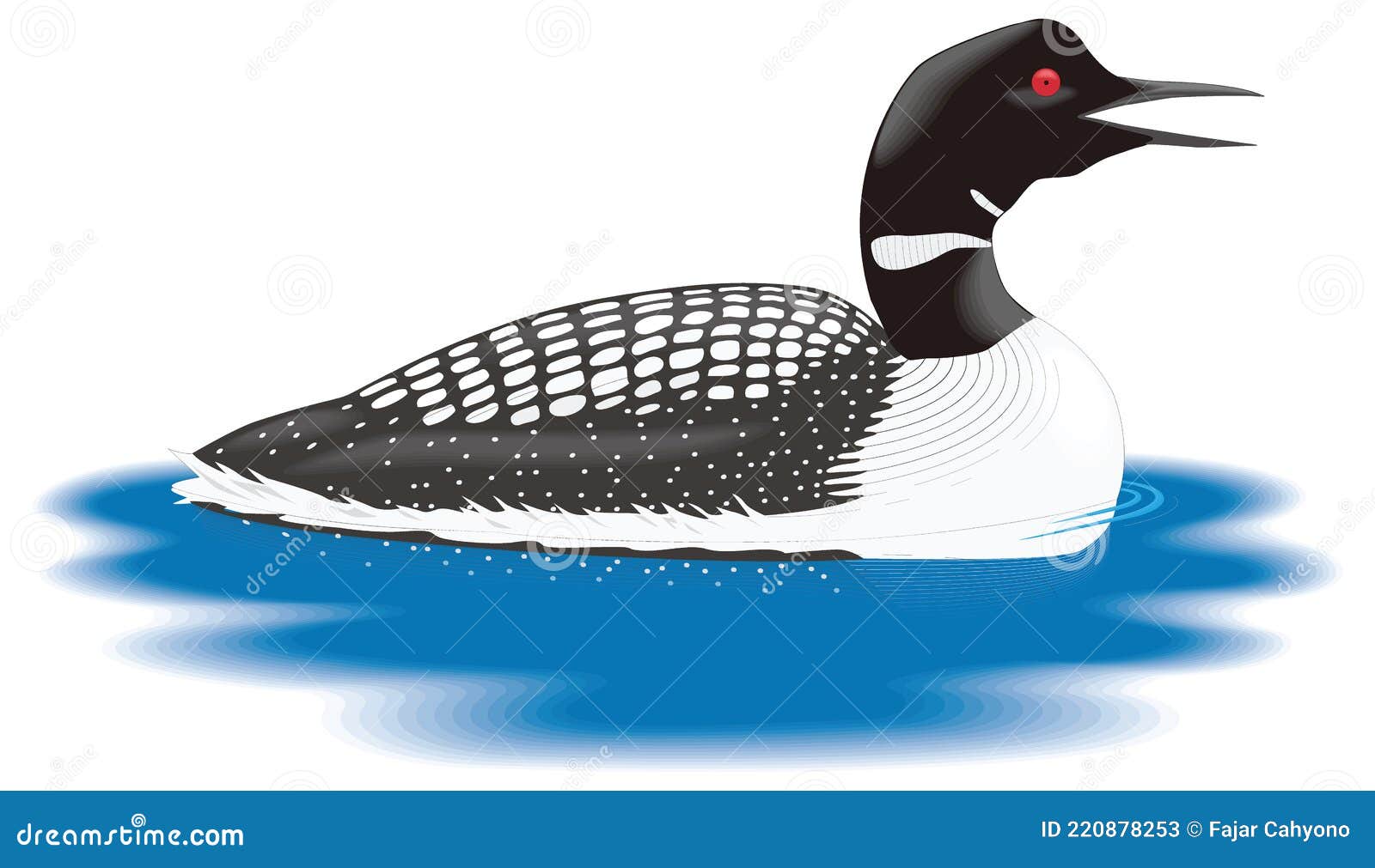 Common Loon Swim Bird Vector Illustration Transparent Background ...