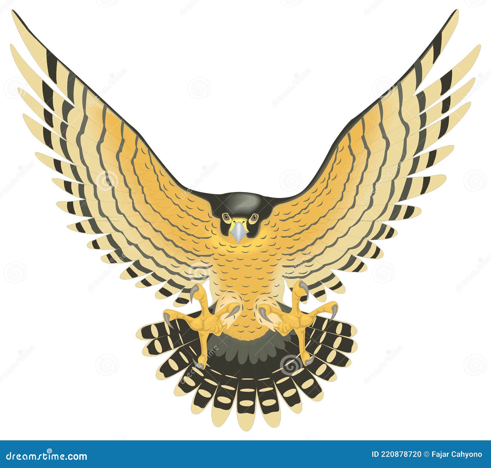 Falcon Flying Clipart
