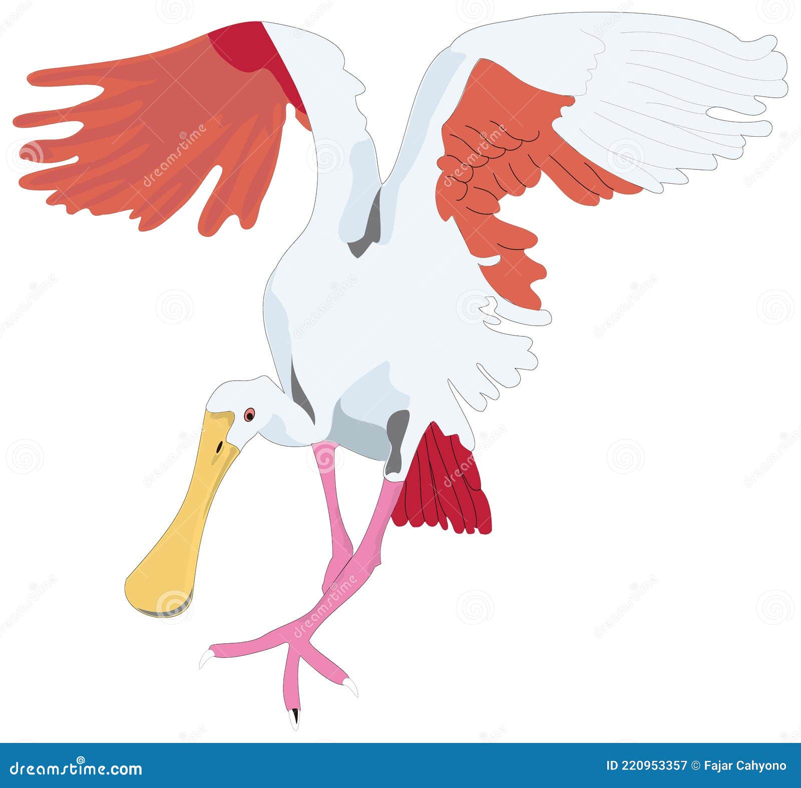 Roseate Spoonbill Bird Vector Illustration Transparent Background Stock ...