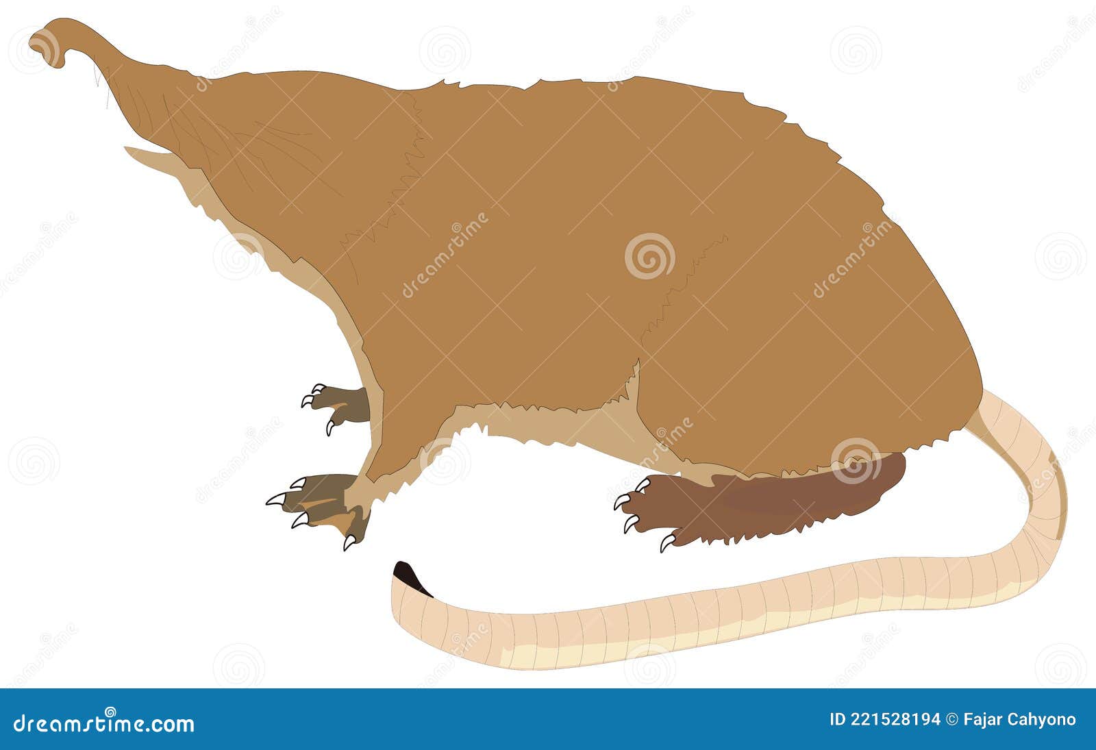 Desman Animal Vector Illustration Transparent Background ...