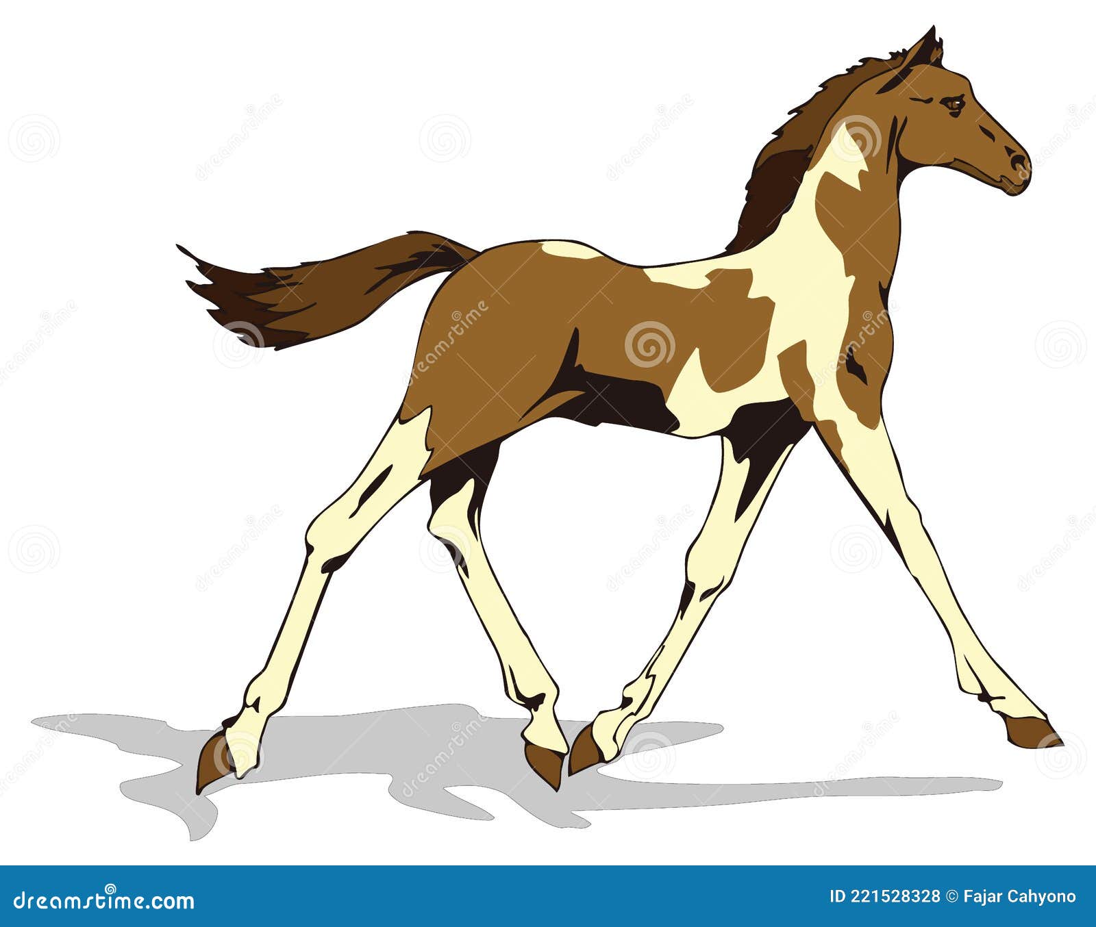 Young Colt Horse Animal Vector Illustration Transparent Background ...