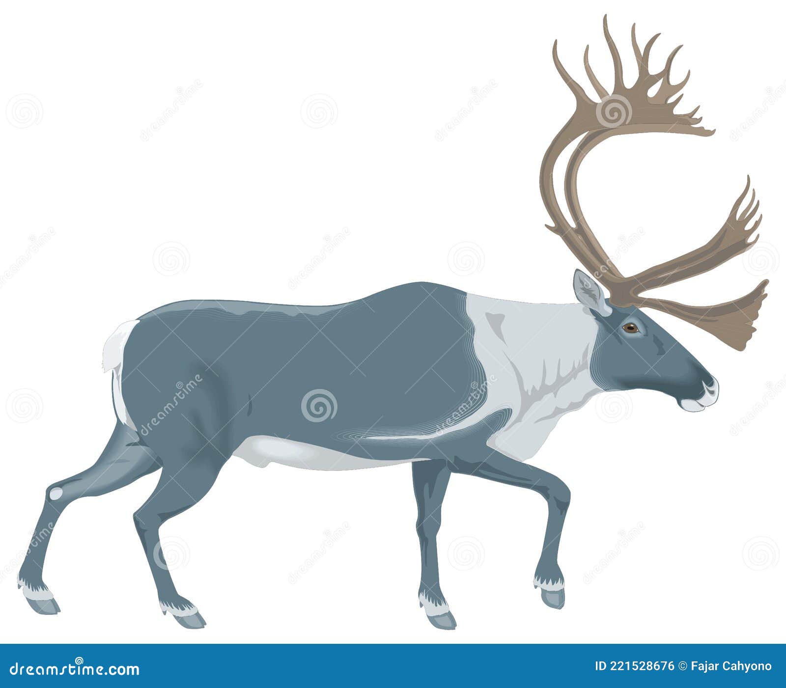 Caribou Animal Running