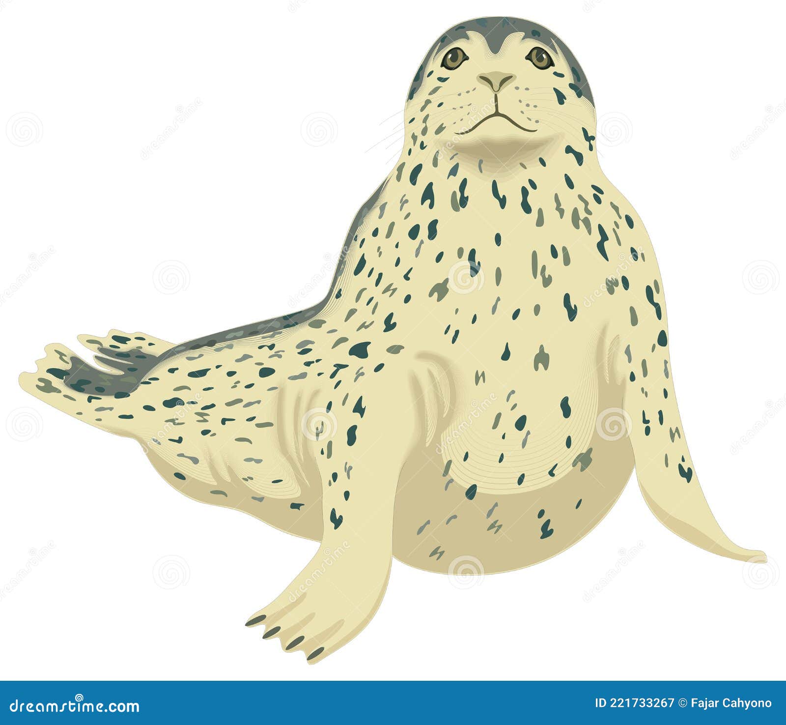 Funny Seal Stand Animal Vector Illustration Transparent Background ...