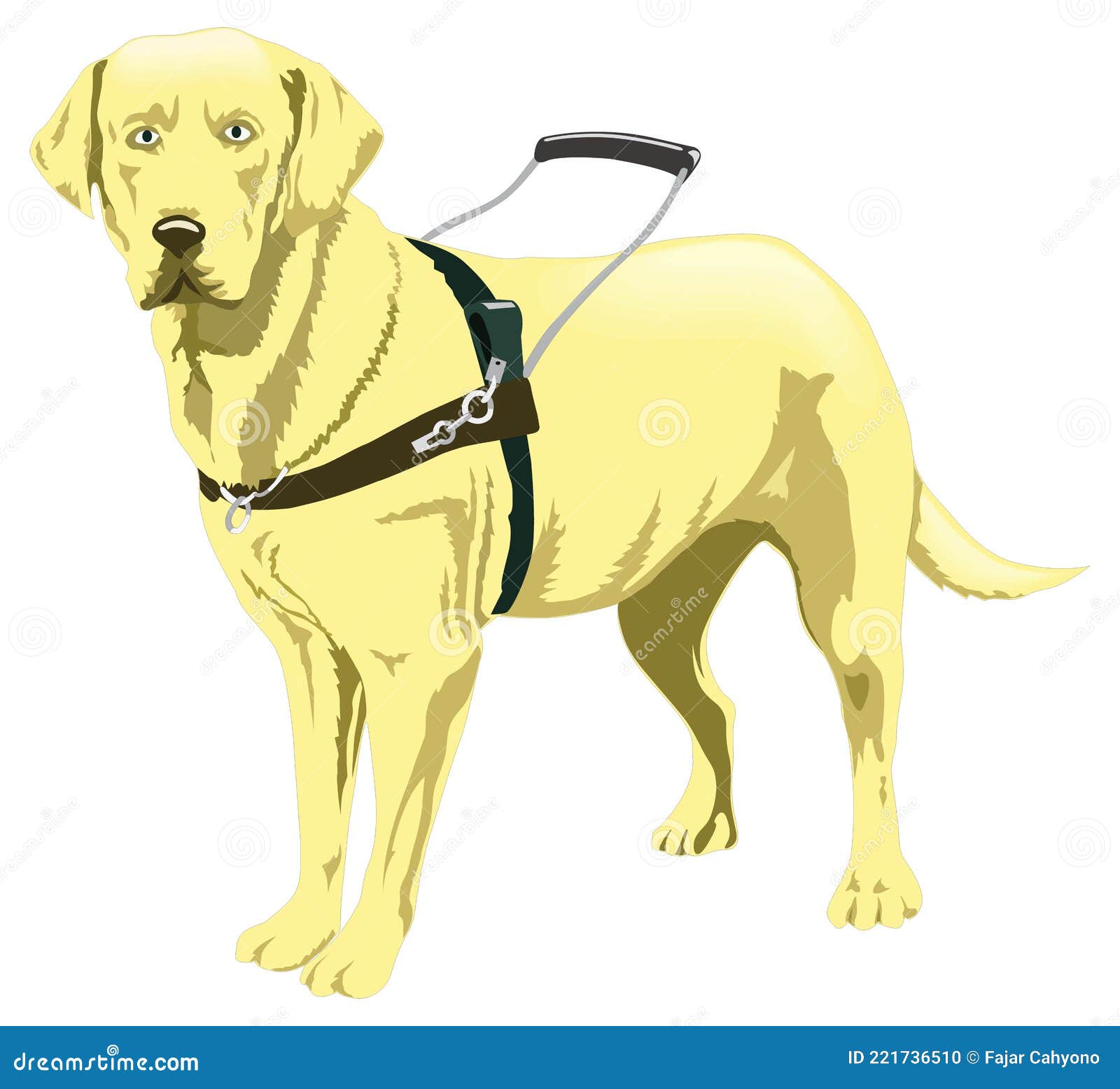 Guide Golden Dog Animal Vector Illustration Transparent Background ...