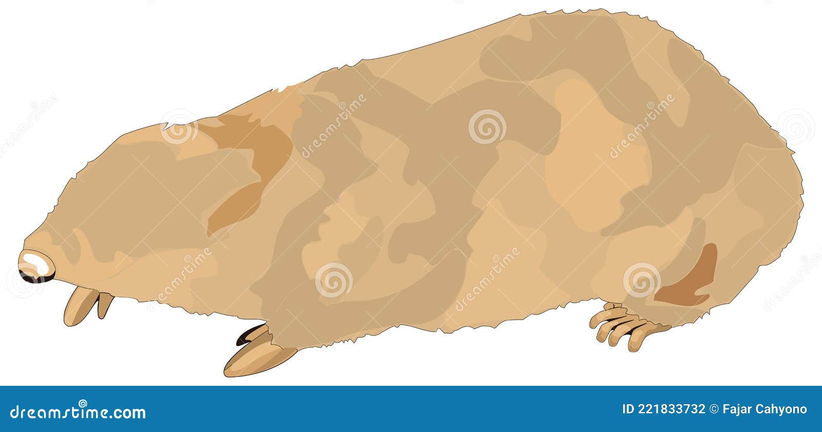 Golden Mole Animal Vector Illustration Transparent Background Stock ...
