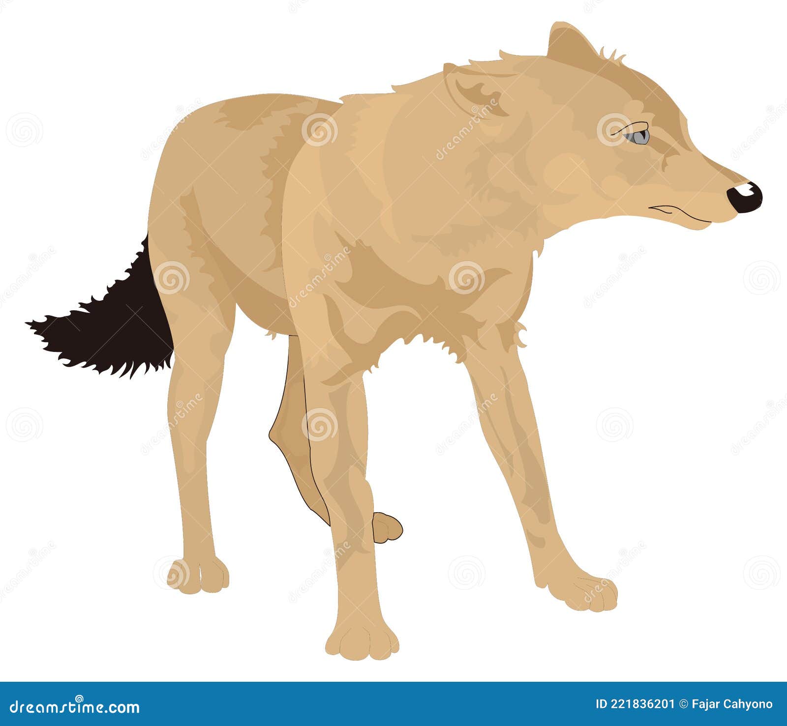 Lone Wolf Animal Vector Illustration Transparent Background Stock ...