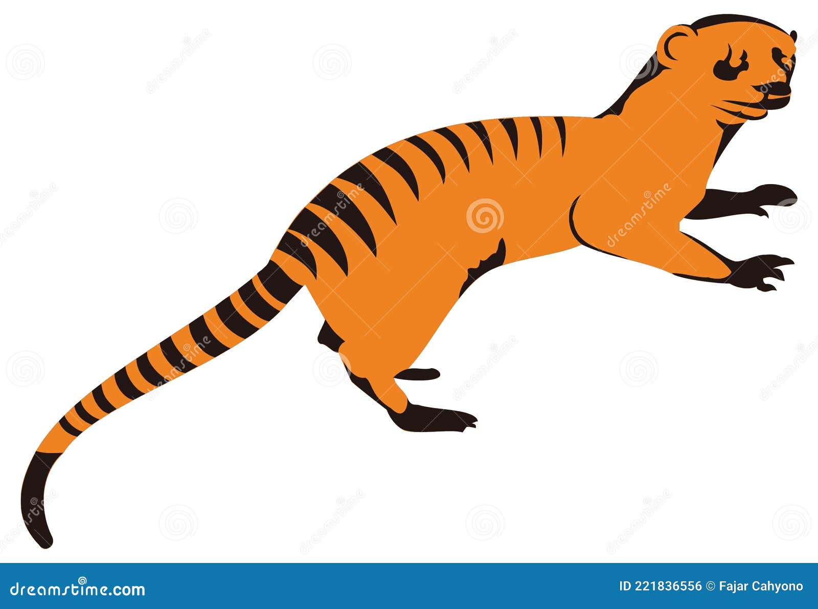 Mongoose Animal Cartoon Illustration | CartoonDealer.com #41630402 Mongoose Animal Cartoon Illustration | CartoonDealer.com #41630402