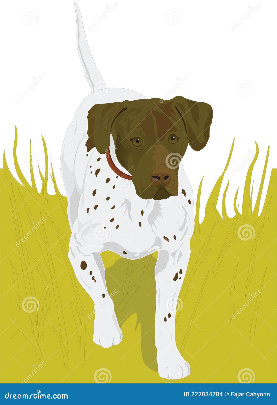 Pointer Dog Animal Vector Illustration Transparent Background Stock ...