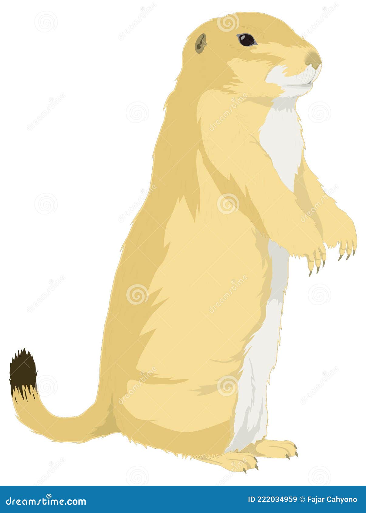 Prairie Dog Stand Animal Vector Illustration Transparent Background ...