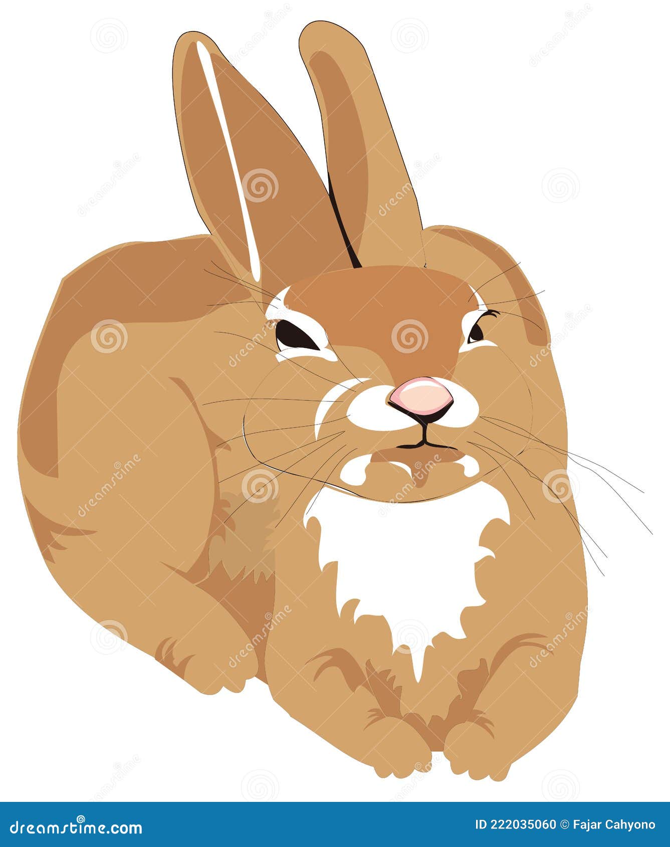 Rabbit Sit Animal Vector Illustration Transparent Background Stock ...