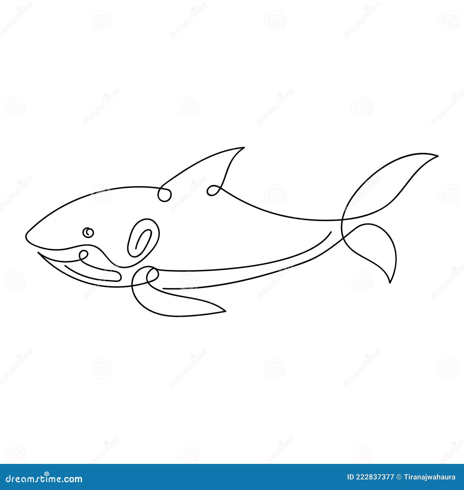 Shark Line Art Vector Illustration. Shark Simple Outline Design ...