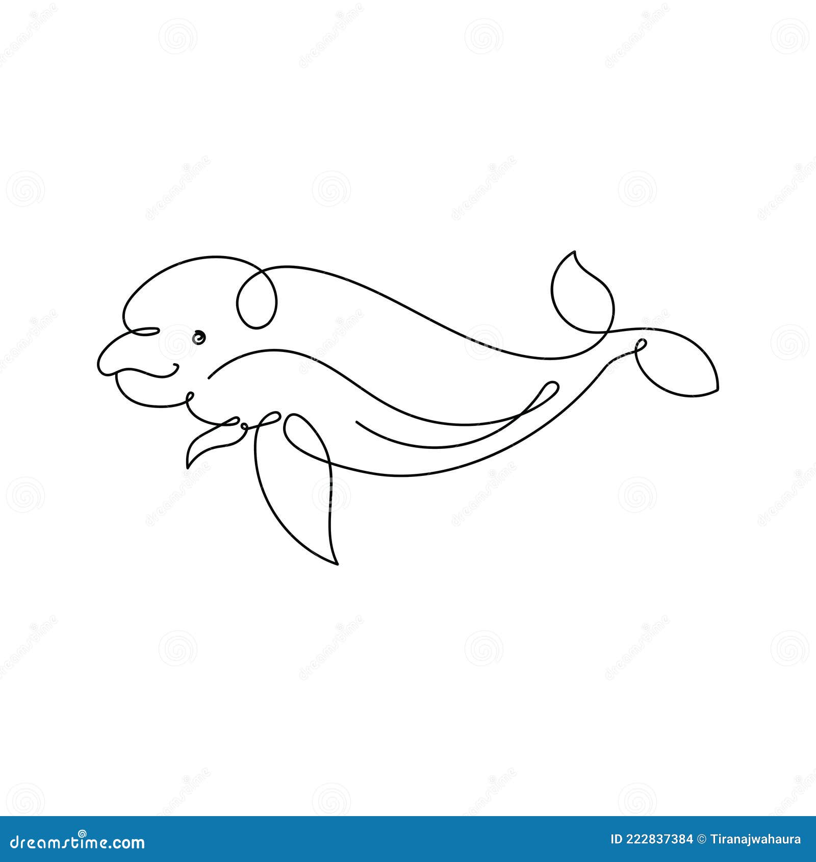Beluga Illustration, Drawing, Engraving, Ink, Line Art, Vector ...