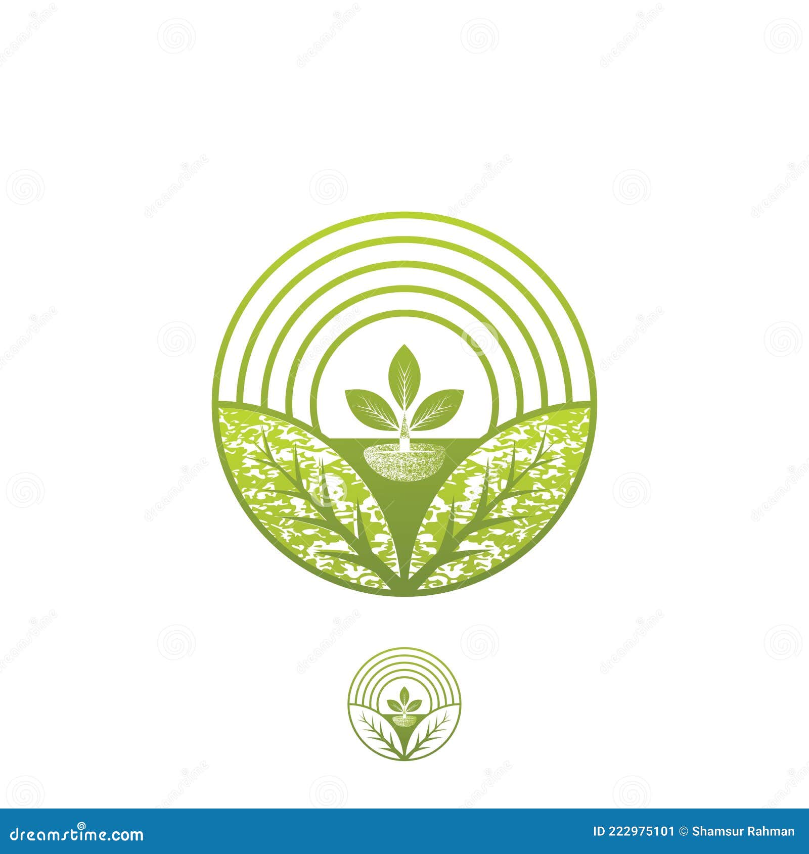 Planting Seed Banner, Stages Of Growth Of Flower From Seed, Timeline ...