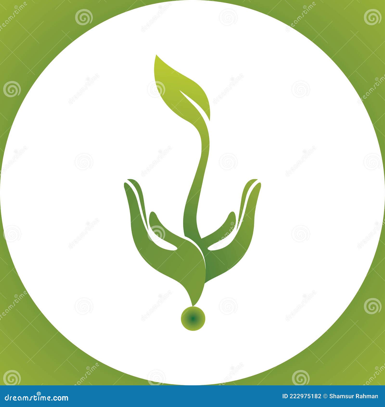 Planting Seed Banner, Stages Of Growth Of Flower From Seed, Timeline ...