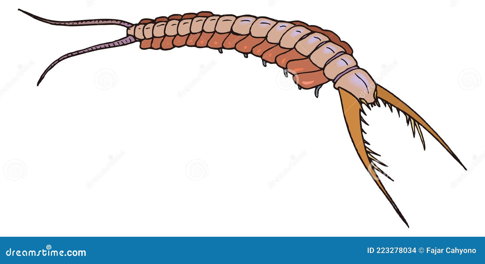 Arthropoda Cartoons, Illustrations & Vector Stock Images - 2102 ...