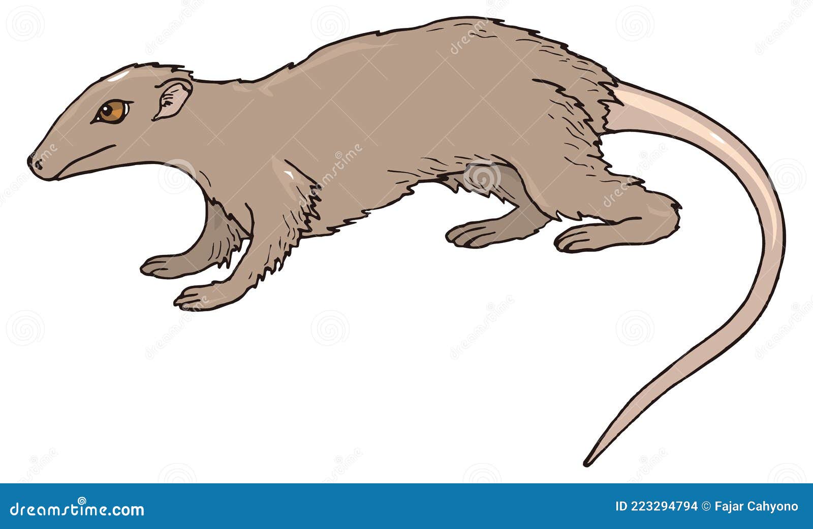 Megazostrodon Rat Mouse Dinosaur Ancient Vector Illustration ...