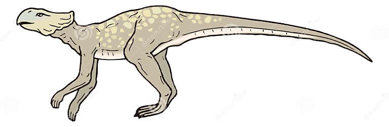 Microceratus Dinosaur Ancient Vector Illustration Transparent ...