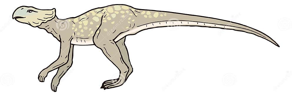 Microceratus Dinosaur Ancient Vector Illustration Transparent ...