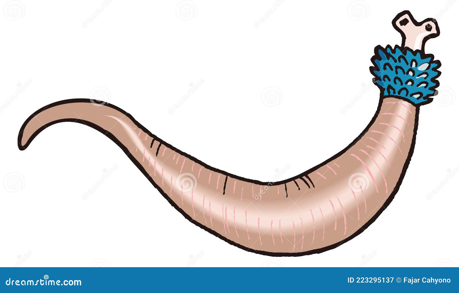 Leech Vector Icon Isolated On White Background. Outline, Thin Line ...