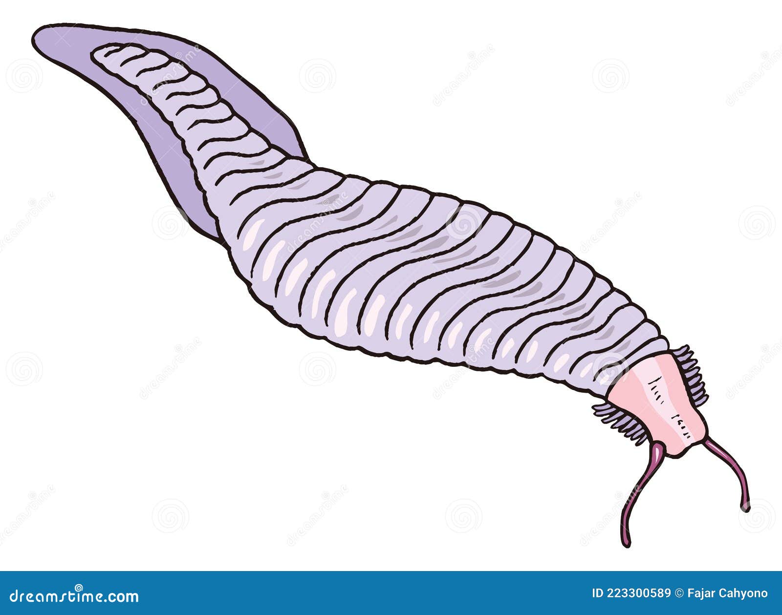 Leech Vector Icon Isolated On White Background. Outline, Thin Line ...