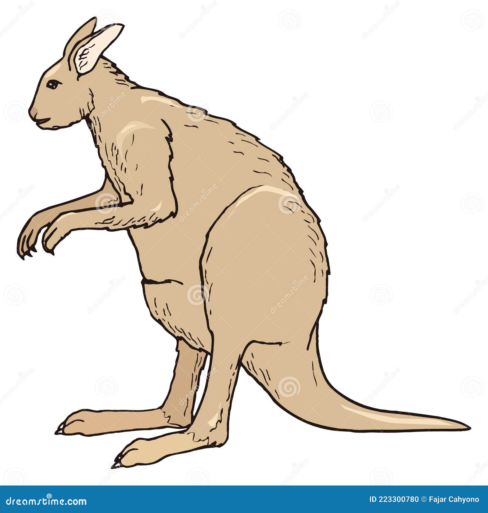 Angry Kangaroo Cartoon