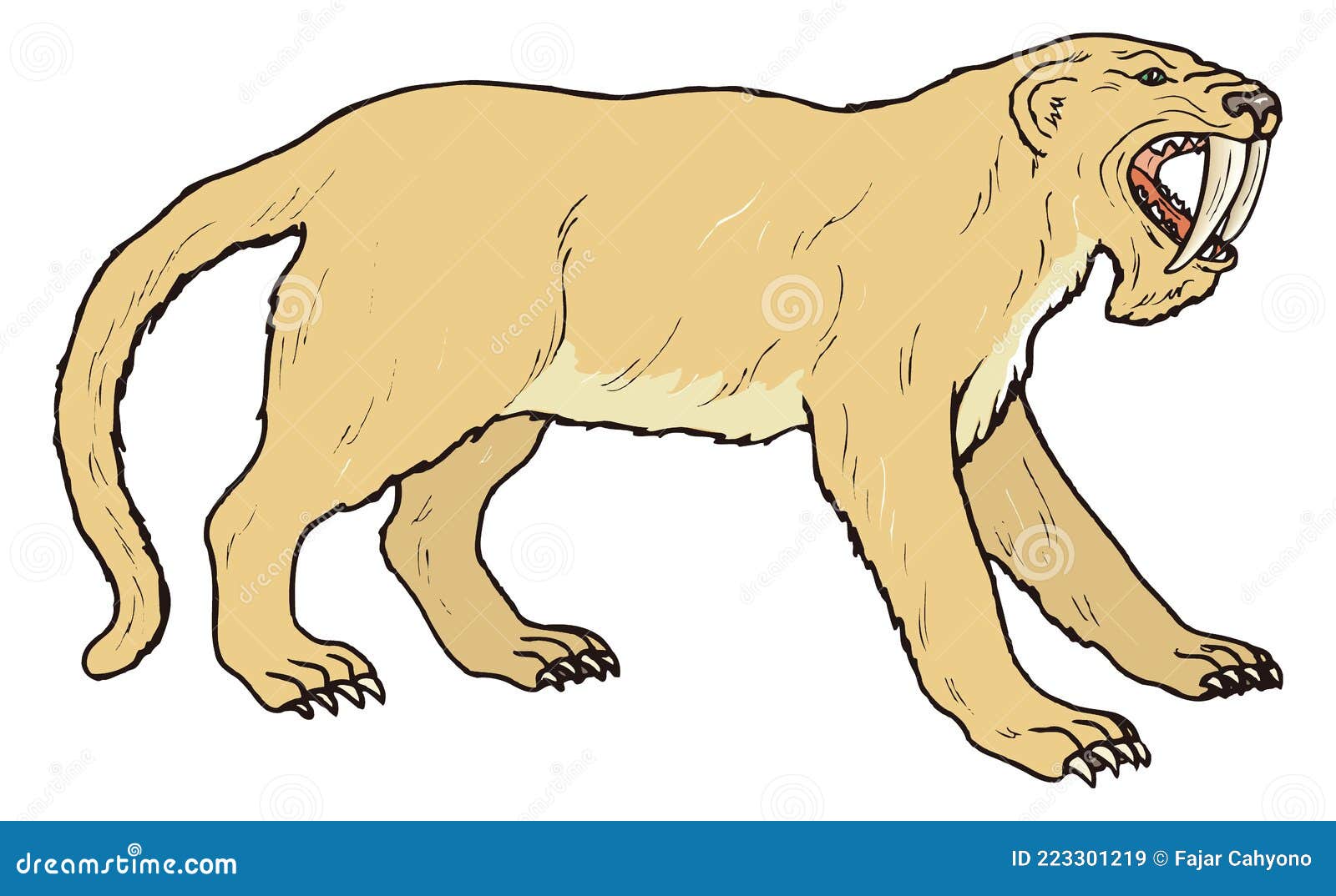 Angry Saber Tiger Drawing Vector. Saber-toothed Tiger Vector Sketch ...