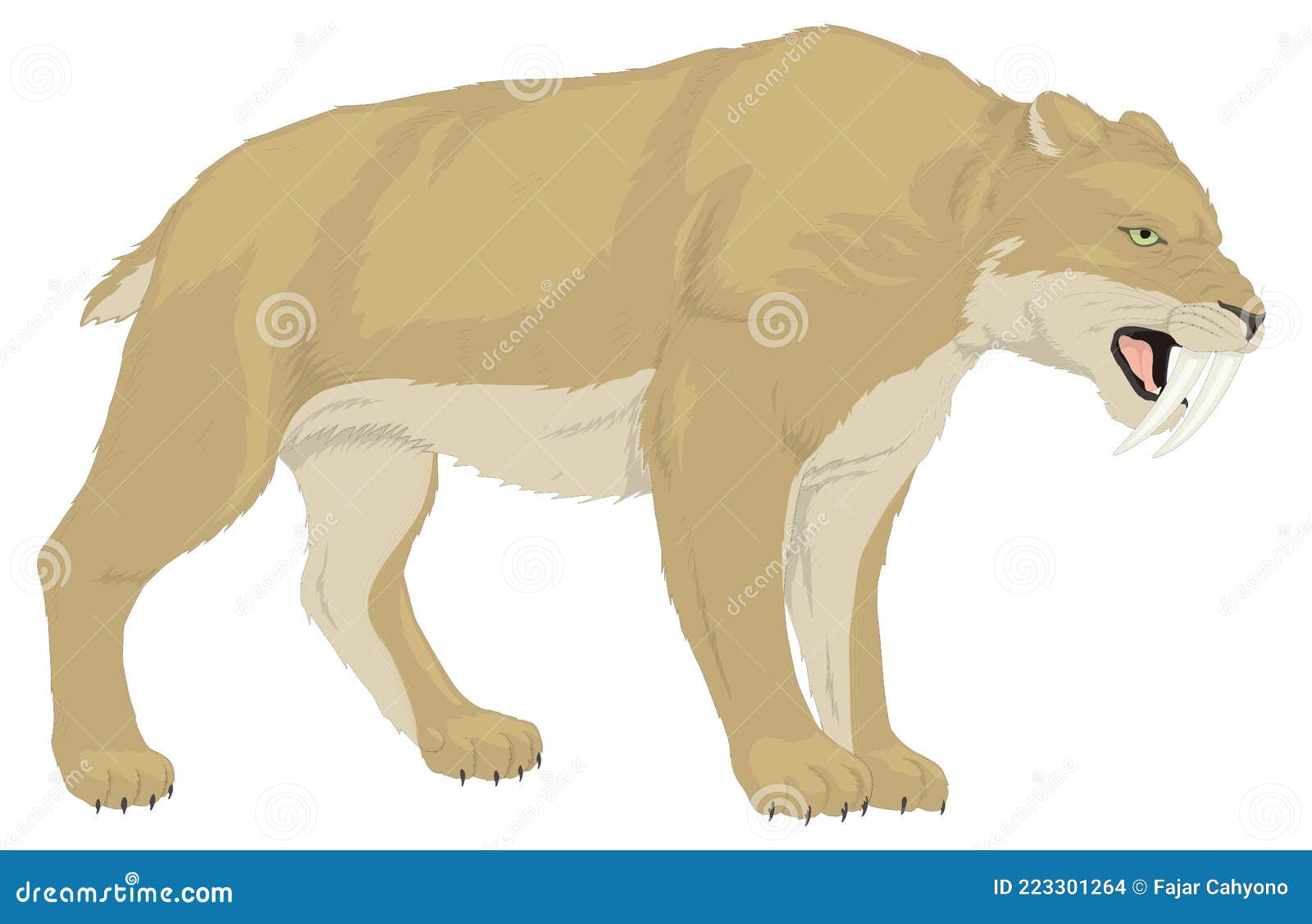 Sabre Saber Toothed Tiger Dinosaur Ancient Vector Illustration ...