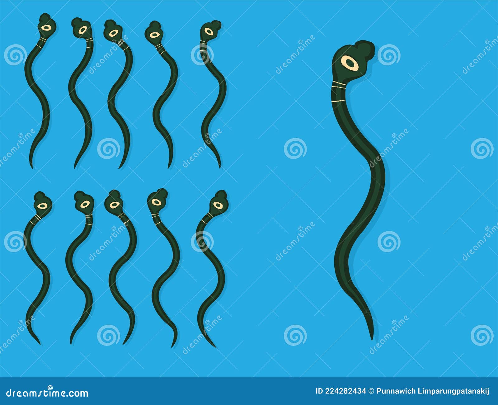 Animal Animation Sequence Spectacled Cobra Snake Cartoon Vector Stock ...