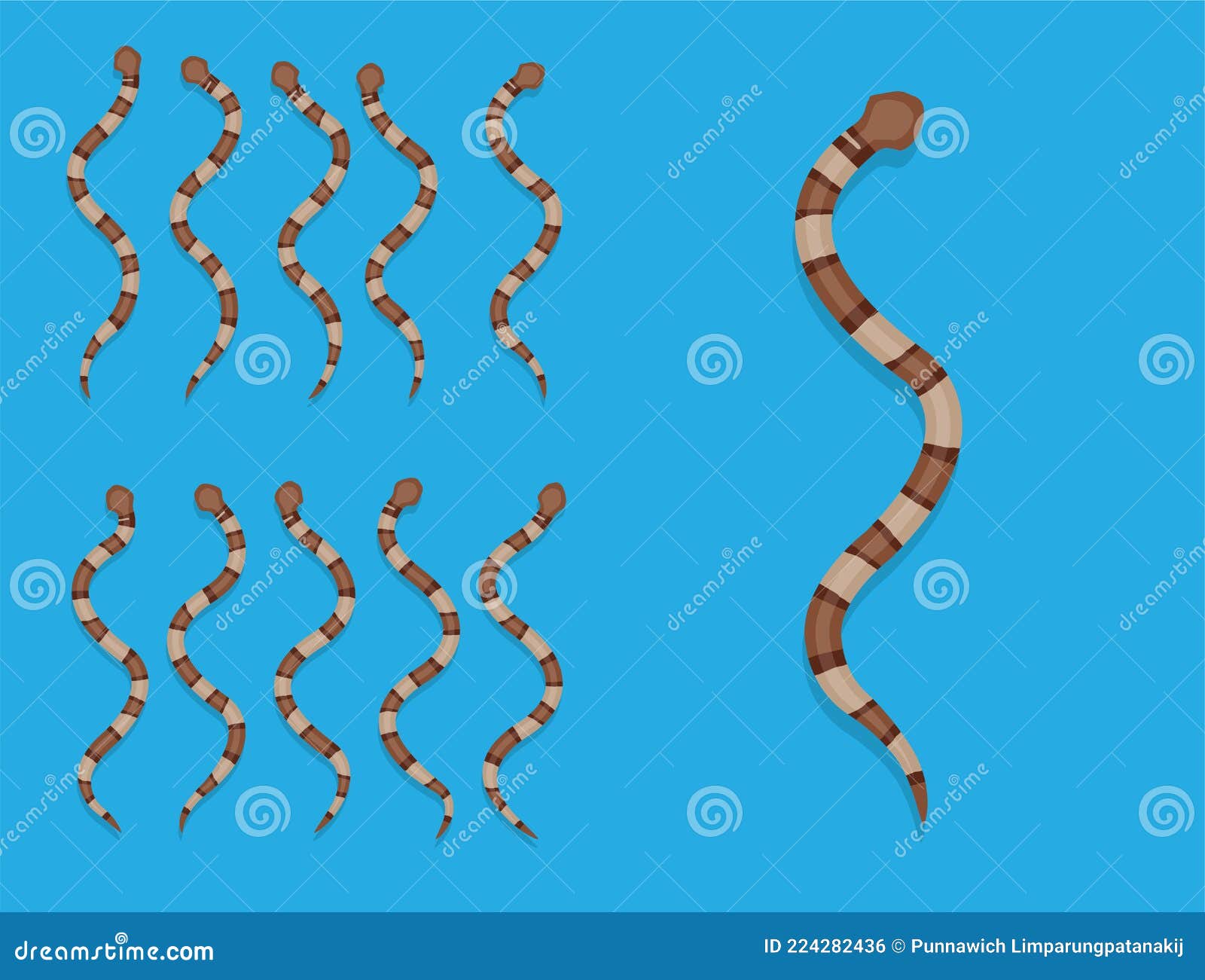 Animal Animation Sequence Copperhead Snake Cartoon Vector Stock Vector ...