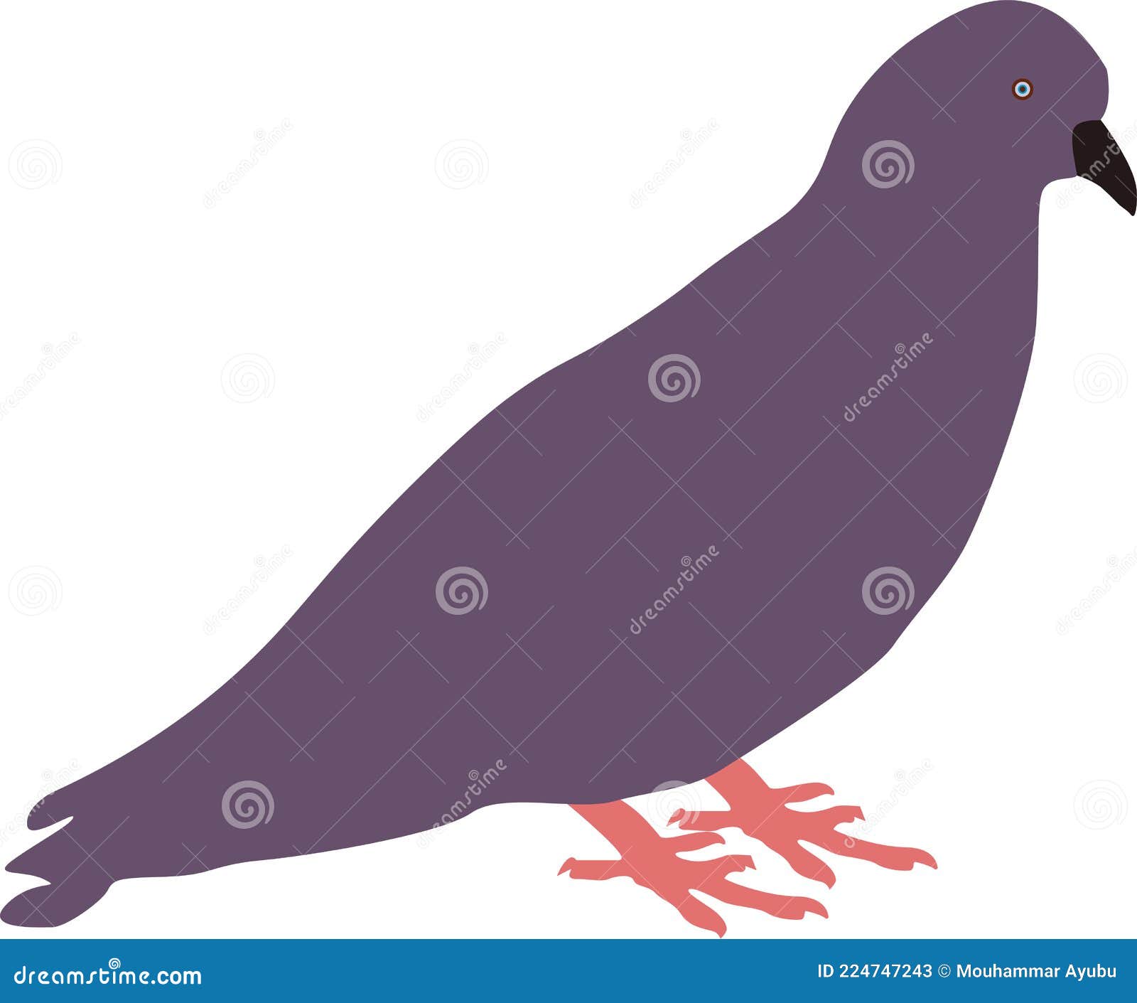 Vector Flat Pigeon Design Illustration Stock Vector - Illustration of ...