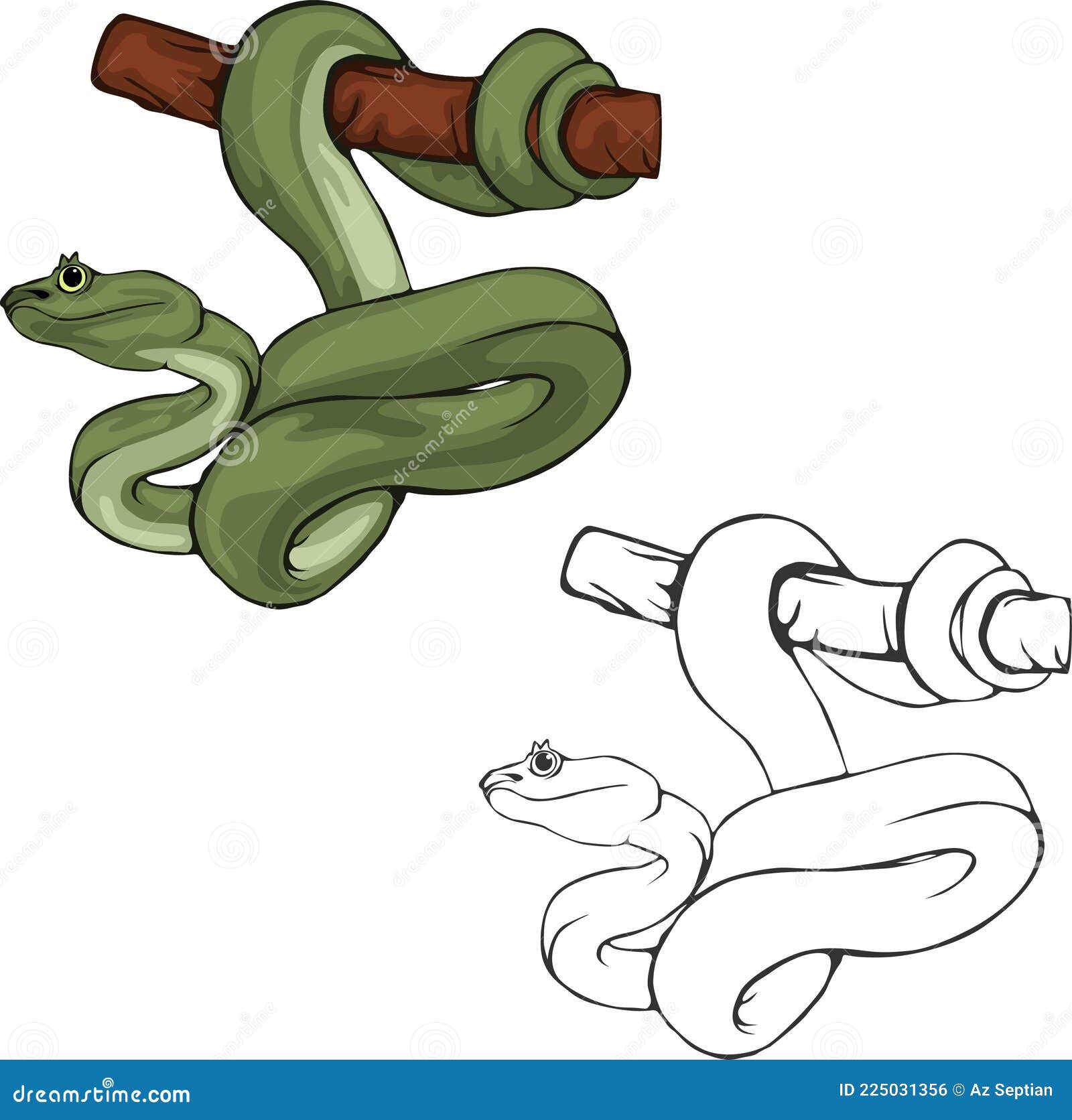 Snake on the Tree Vector Art Colored and Outline Version Stock Photo ...