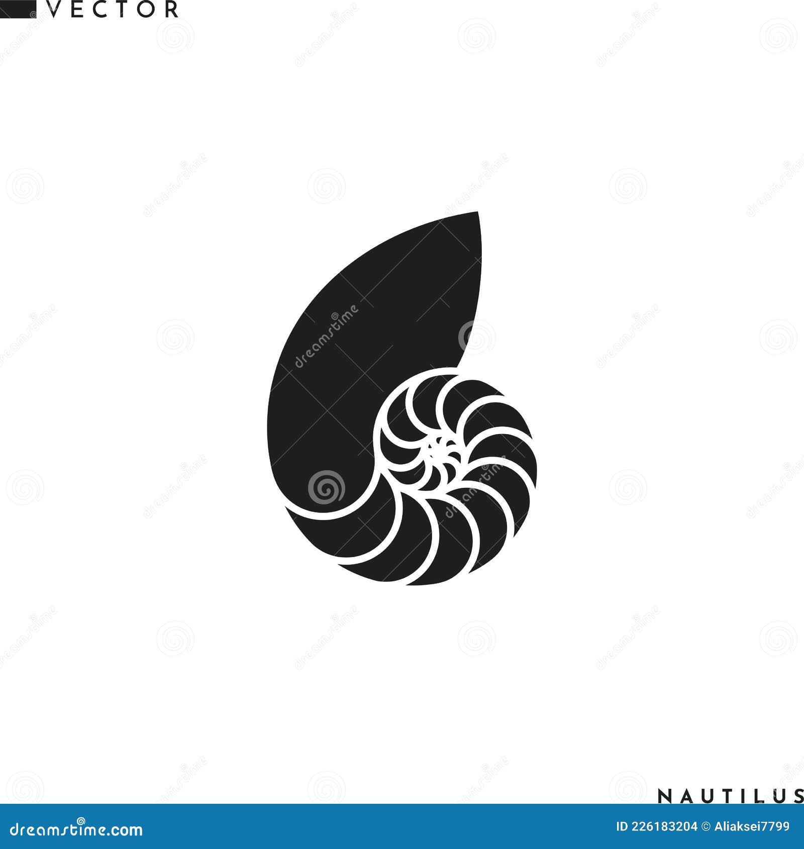 Shell Isolated. White Mussels On Green Background. Seashell Nacre ...