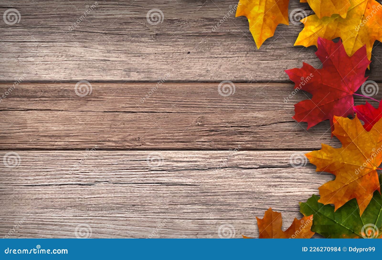 Colorful Autumn Maple Leaves on the Wood Stock Photo - Image of ...