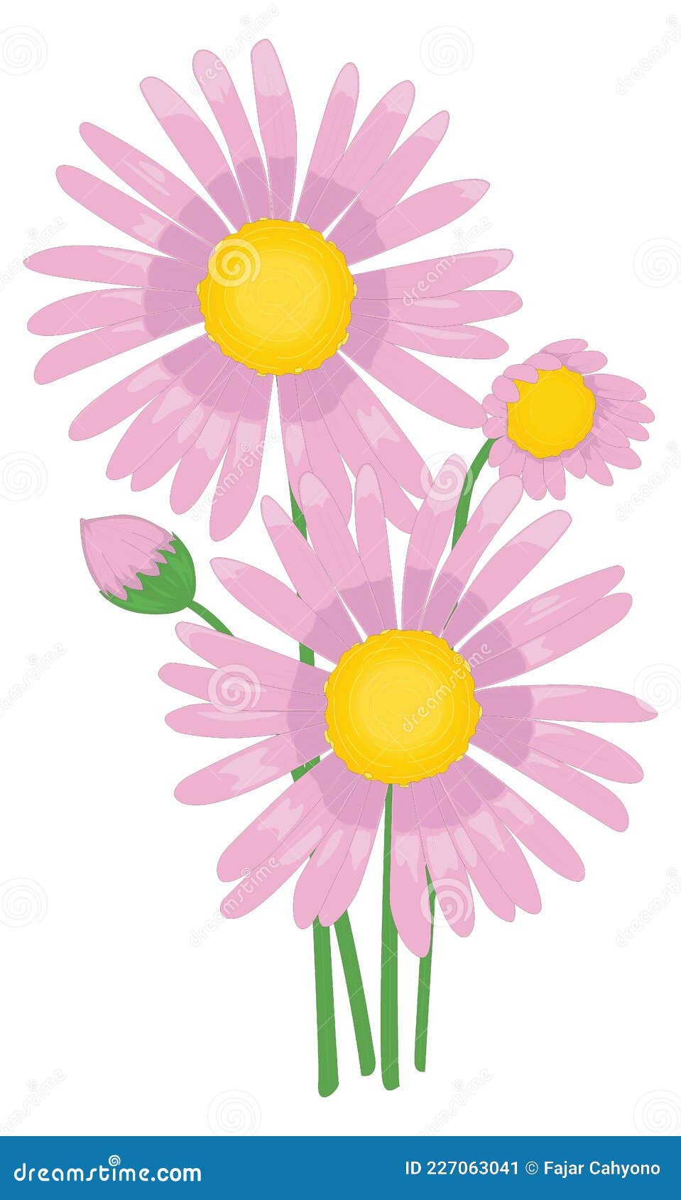 Aster Flower Vector Illustration Transparent Background Stock Vector ...