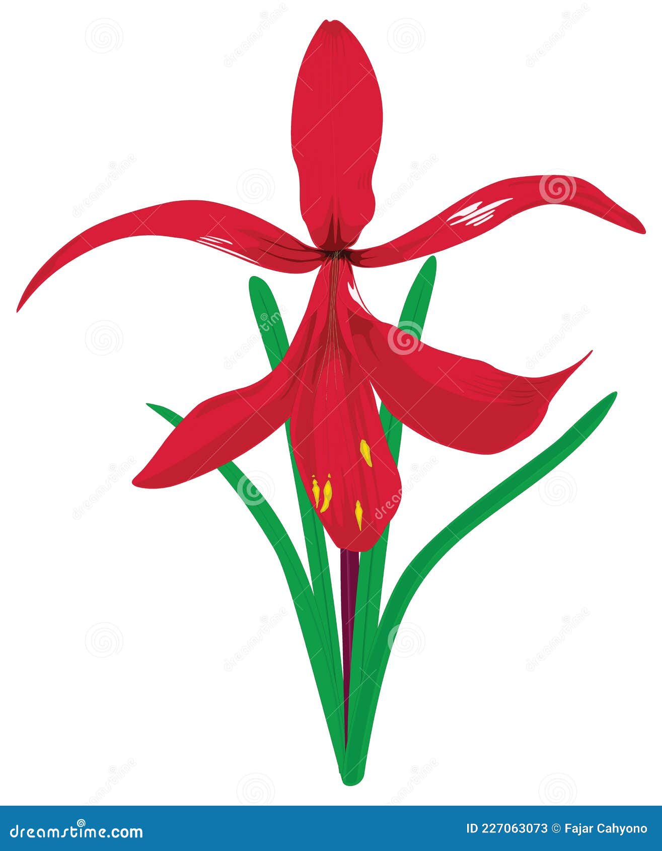 Aztec Flower Vector Illustration Transparent Background Stock Vector ...