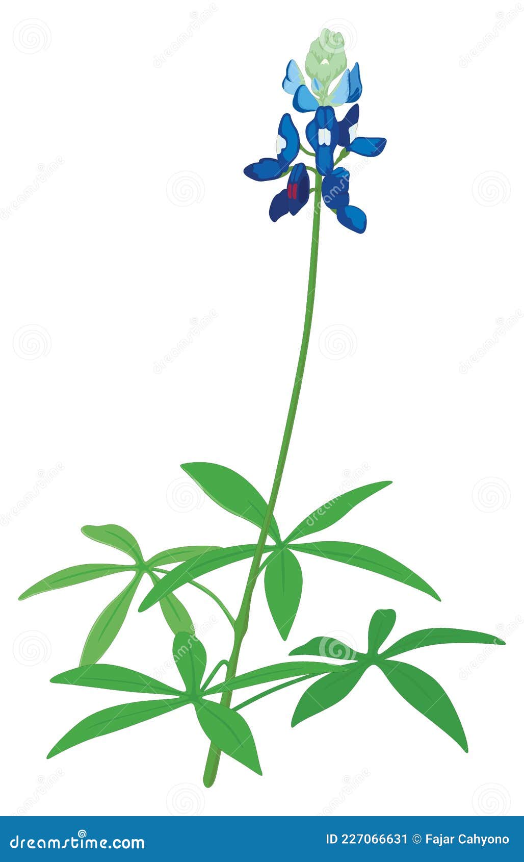 Set Of Bluebonnet Cartoon Icon Design Template With Various Models ...