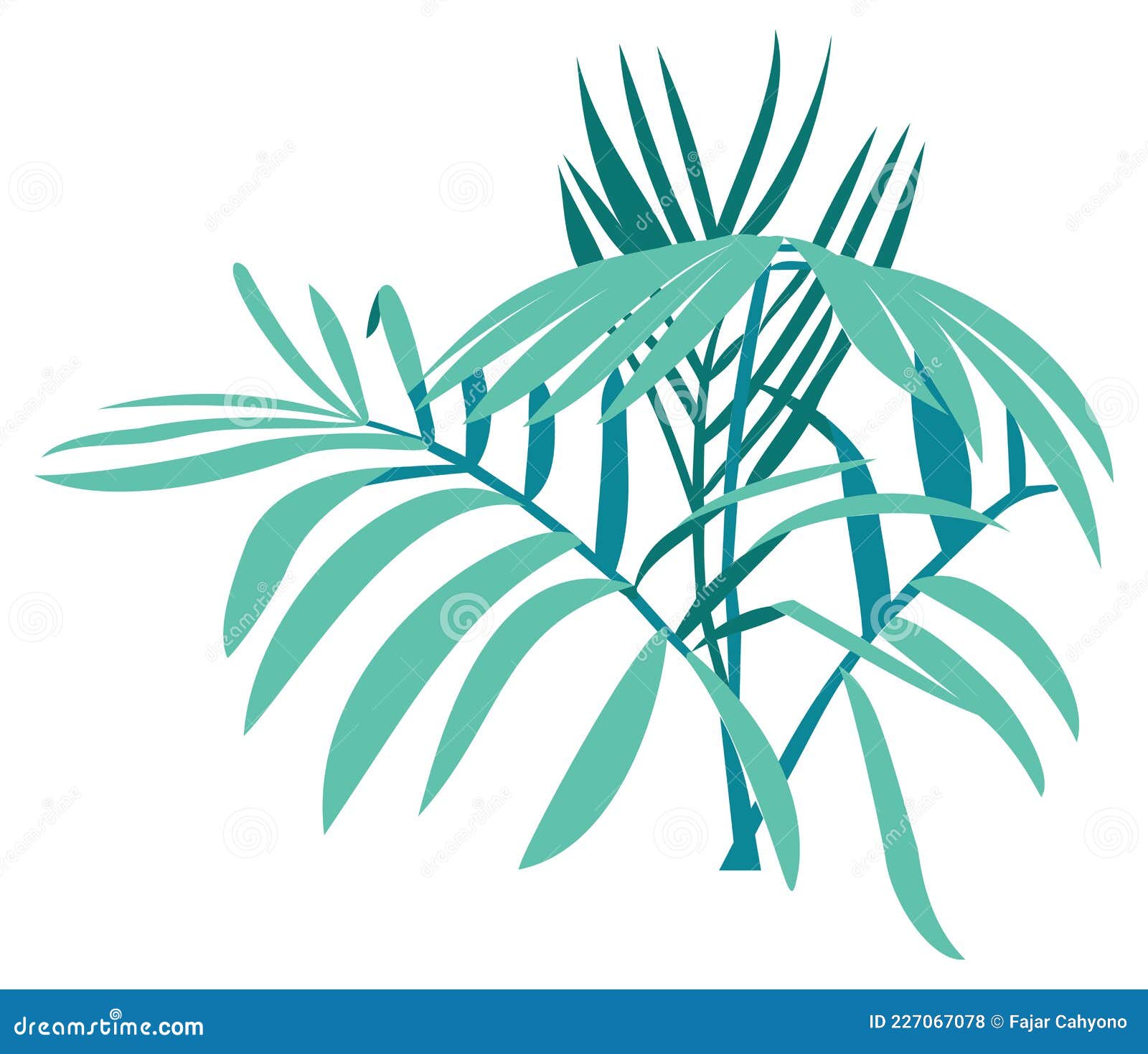 Fern Palm Tree Vector Illustration Transparent Background Stock Vector ...