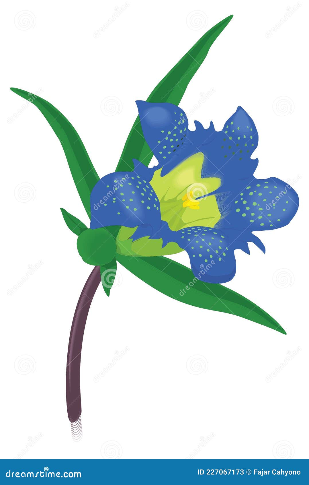 Gentian Flower. Montain Wildflower. Hand Drawn Sketch. Vector Drawing ...