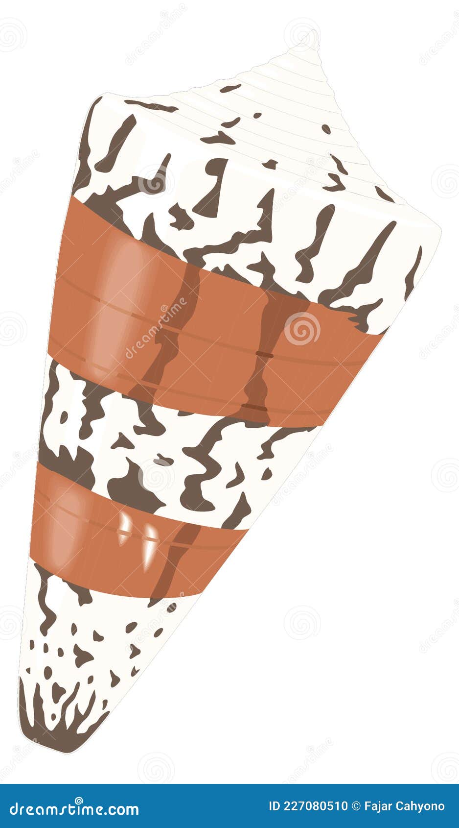 Cone Shell Vector Illustration Transparent Background Stock Vector ...