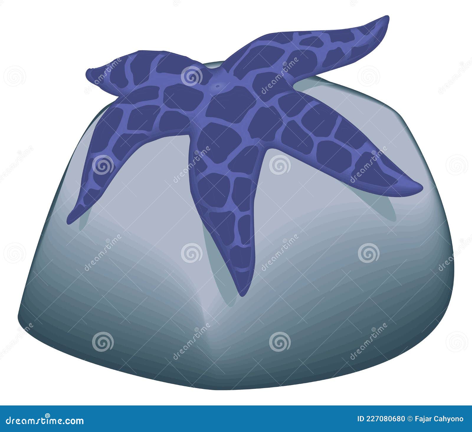 Purple Starfish Vector Illustration Transparent Background ...