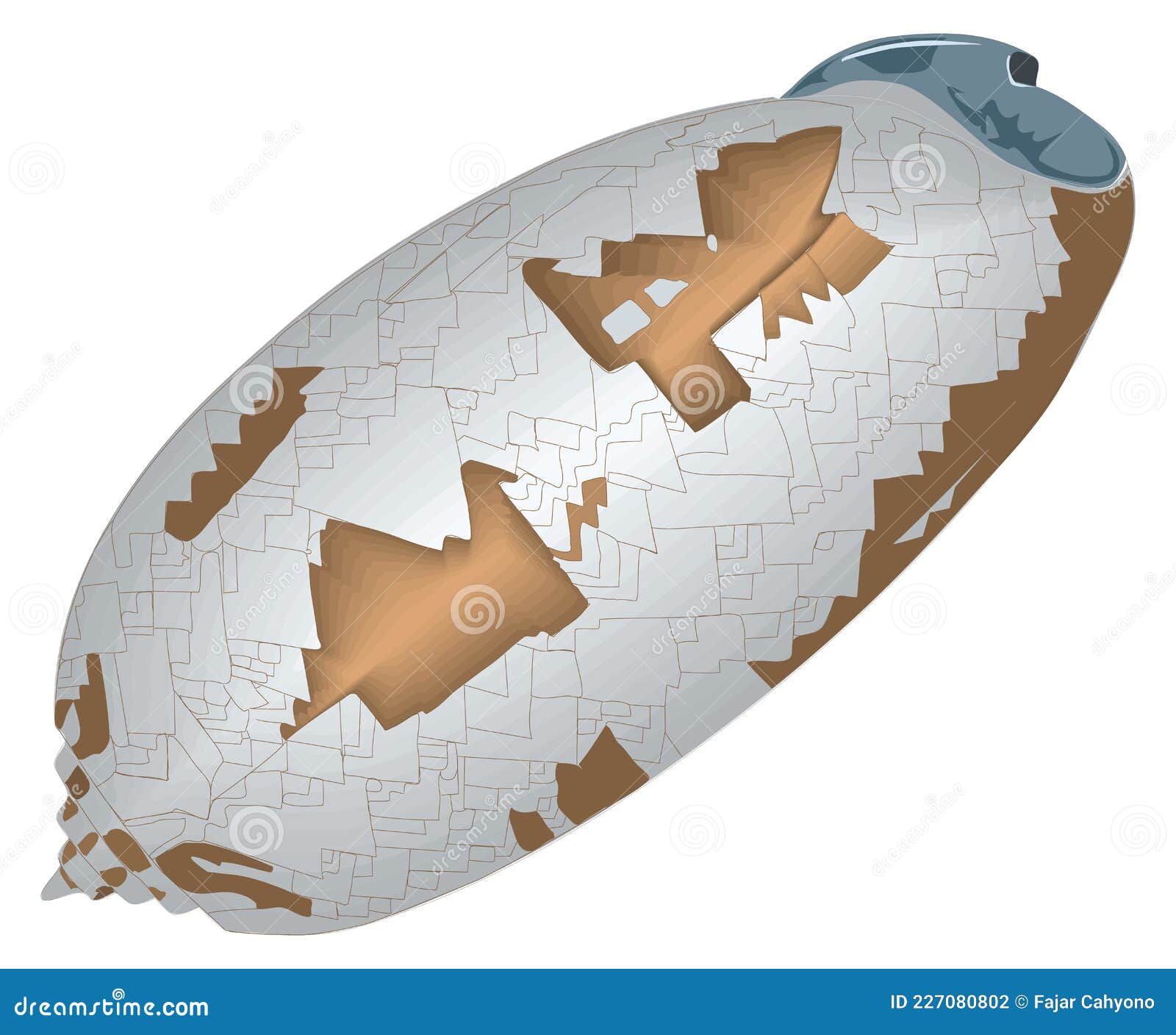 Tent Olive Shell Vector Illustration Transparent Background Stock ...