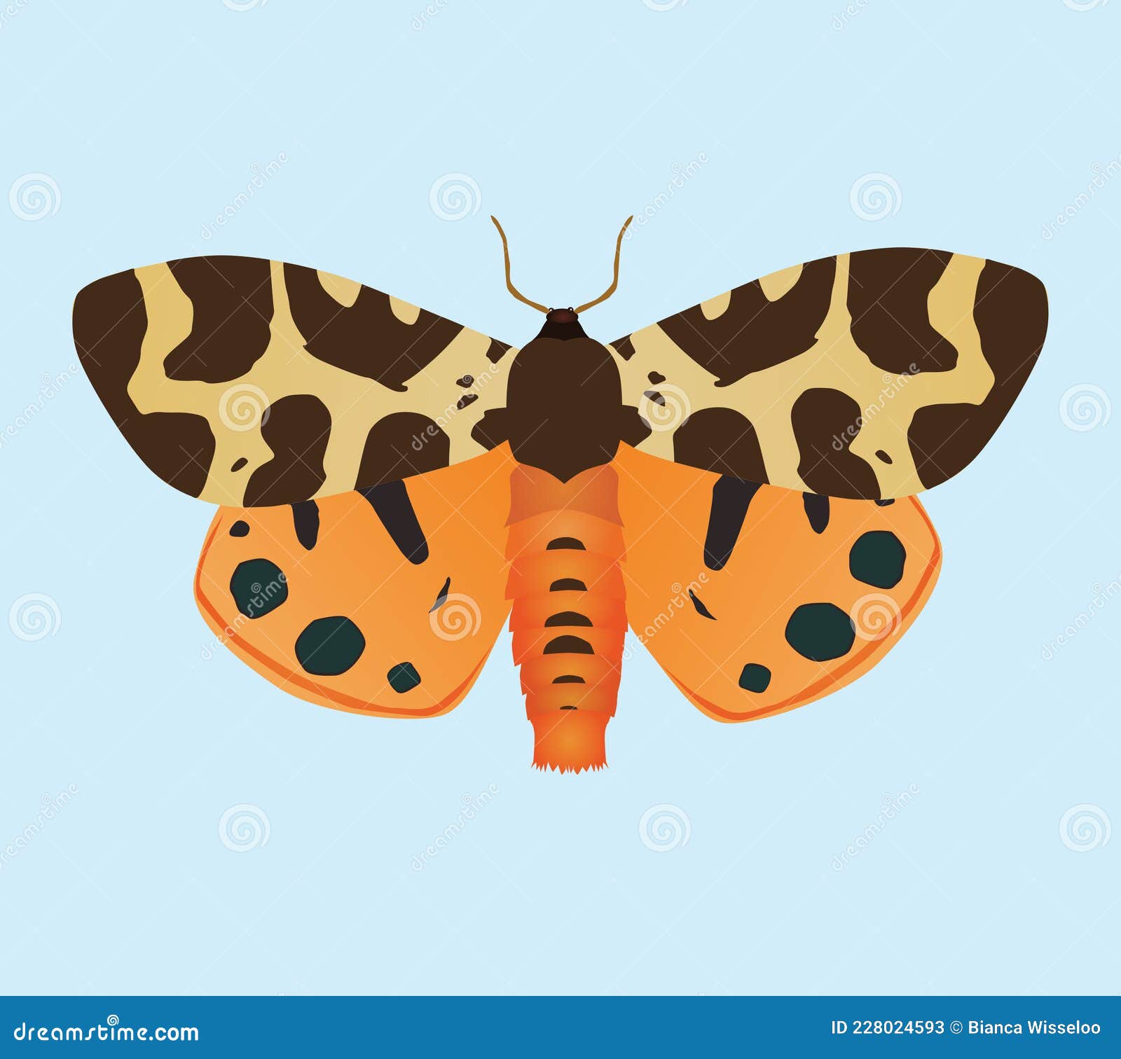 original artwork Illustrated garden moth Art & Collectibles Painting ...