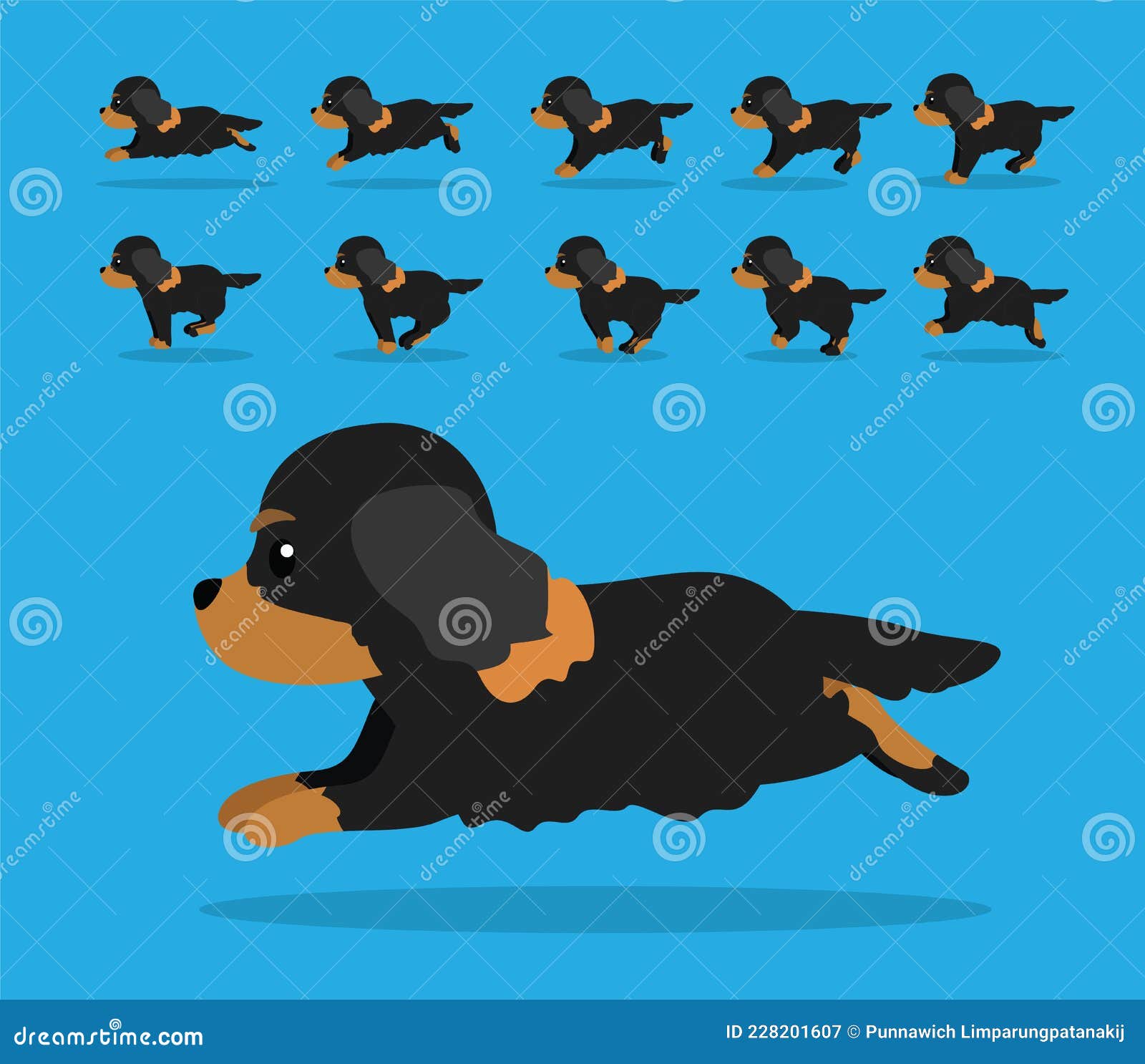 Animal Animation Sequence Dog Cocker Spaniel Cartoon Vector Coat 1 ...
