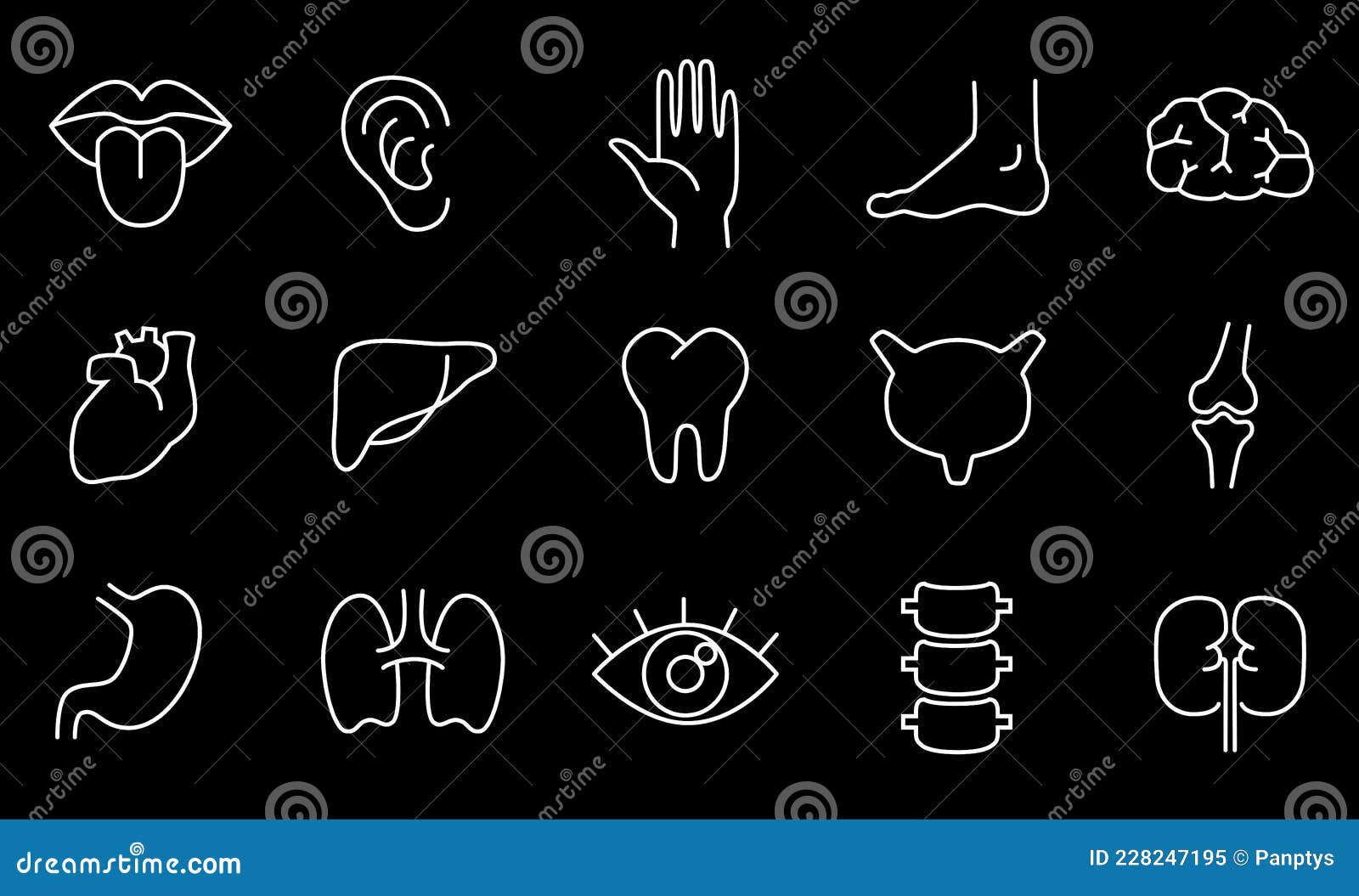 Human Body Parts, Organs - Vector Linear Icon Set. Stock Vector ...