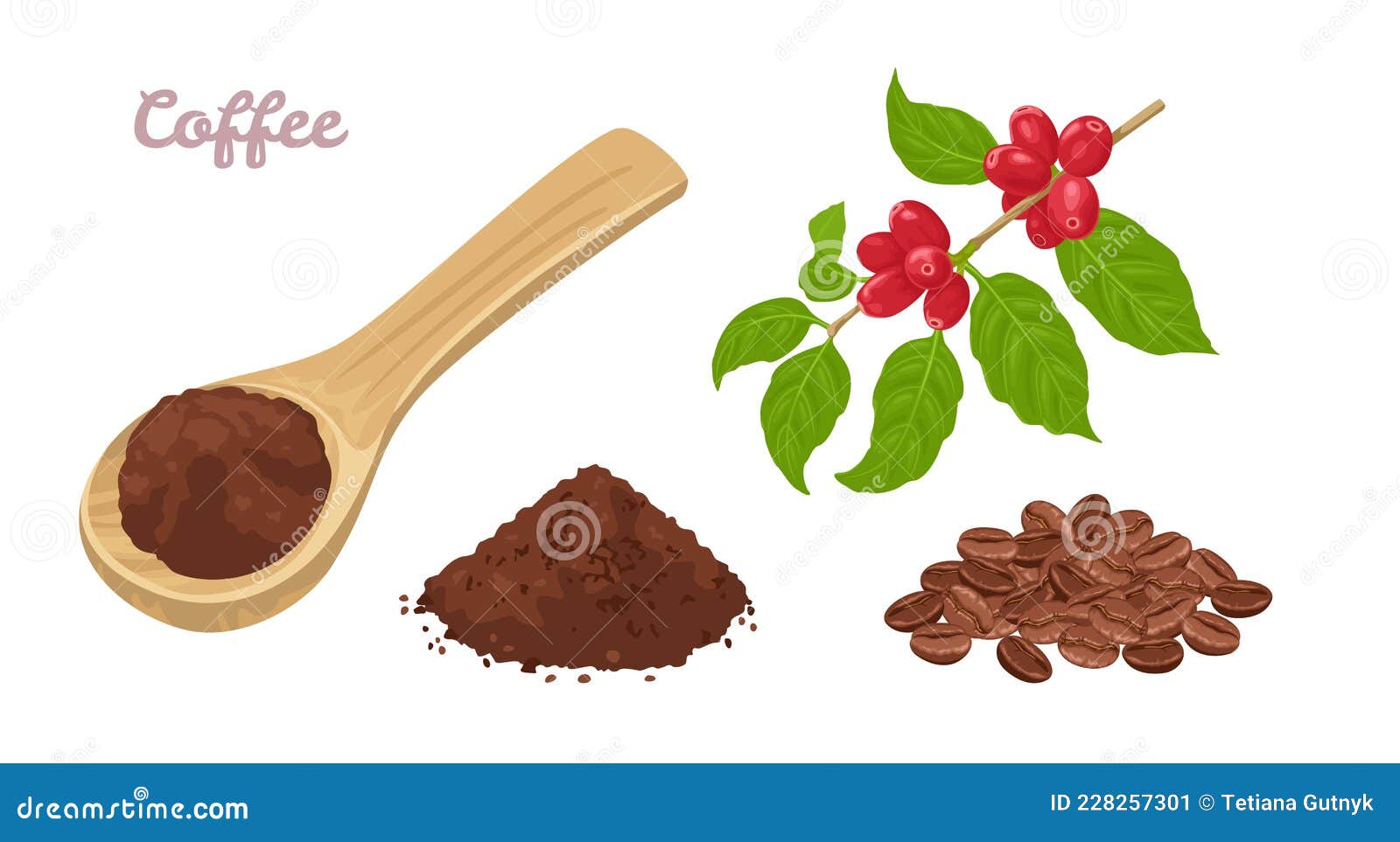 Branch Plant And Seeds Of Mustard Spice. Mustard Set Isolated On White ...