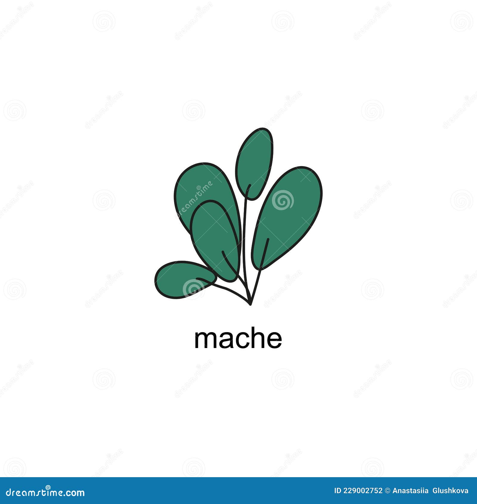 Hand Drawn Doodle of Salads with the Title. Mache Stock Vector ...